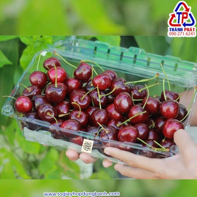 50 Hộp P1000A đựng 1kg nho cành, cà chua, dưa leo | Shopee Việt Nam