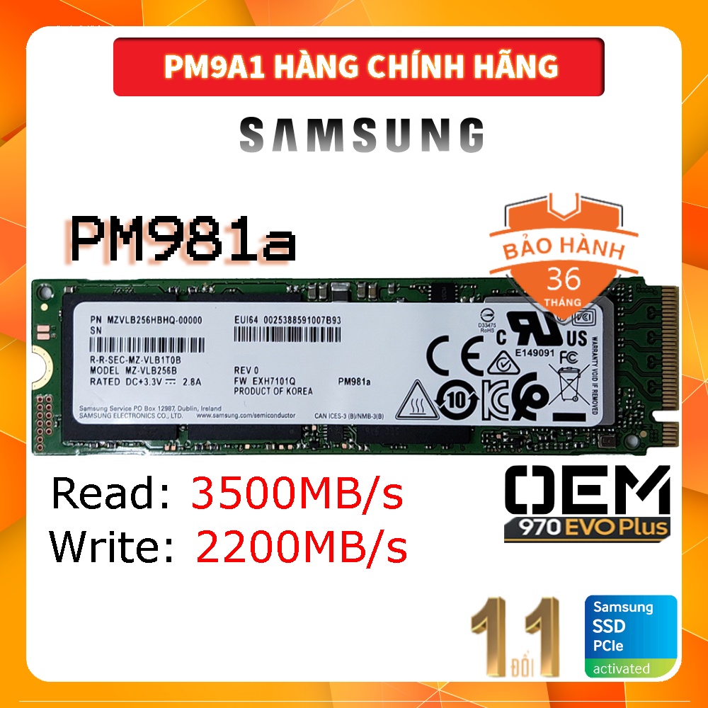 ️CHÍNH HÃNG ️ Ổ Cứng SSD SAMSUNG PM981a 256GB - M.2 2280 NVMe PCIe Gen 3 x4 - OEM 970 Evo Plus ...