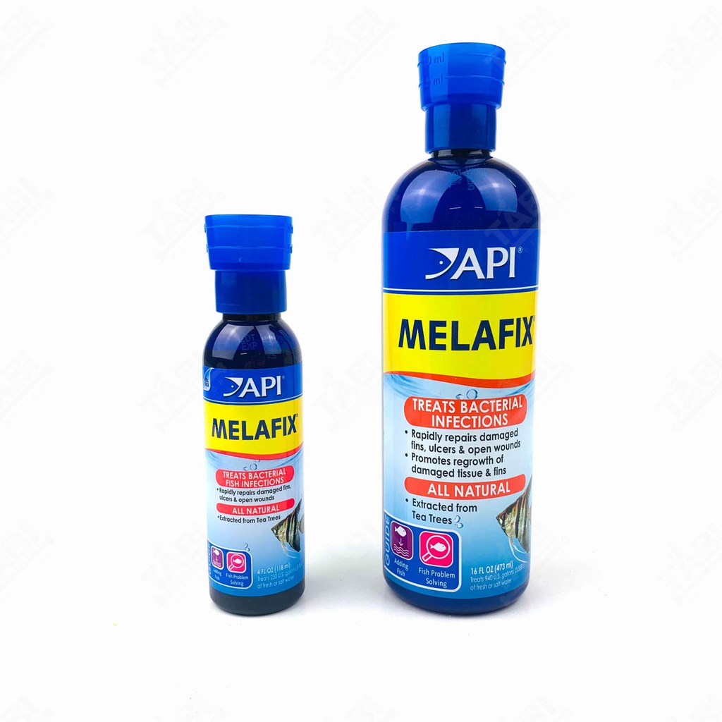 Dung Dịch Kháng Khuẩn API MELAFIX Chính Hãng - Hỗ Trợ Nuôi Cá Tốt ...