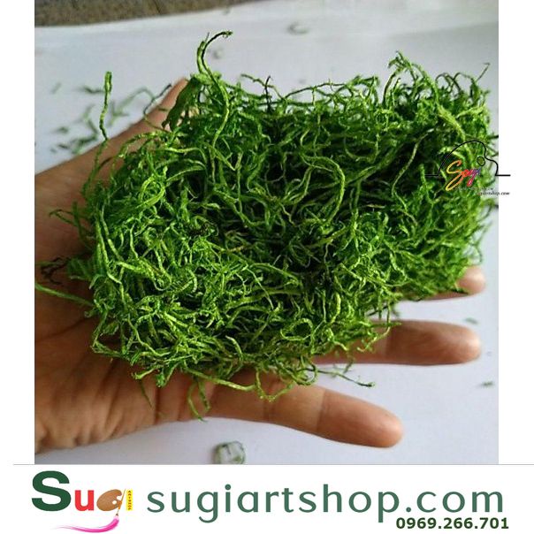 Bột cỏ làm cây mô hình, bột làm cỏ mô hình, Bột cỏ xốp -Mô Hình [ Sugi ...