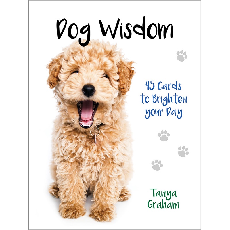 Bộ Bài Dog Wisdom Cards (Mystic House Tarot Shop) - Bài Gốc Authentic ...