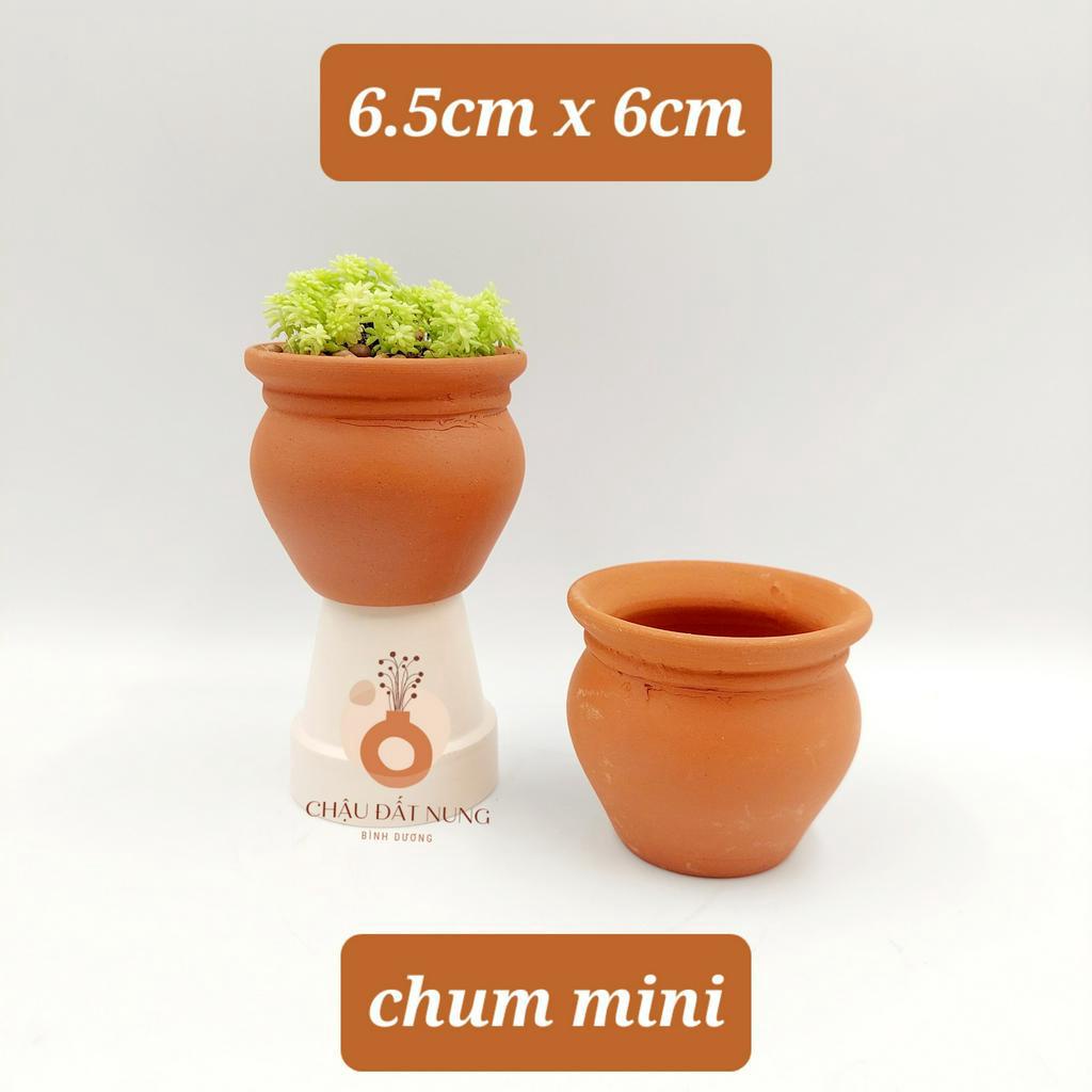 Chậu đất nung thông dụng trồng sen đá - Ly gờ 74 miệng chậu từ 3.5cm ...