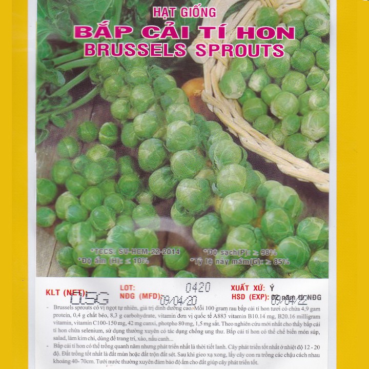 Hạt Giống Bắp Cải Tí Hon (Brussels Sprouts) | Shopee Việt Nam