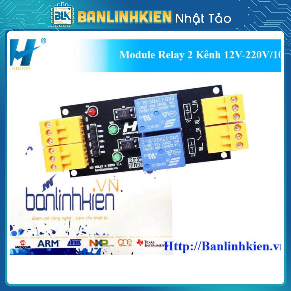 Module Relay 2 Kênh 12V10A RL2-1210 Mã LK_02563 | Shopee Việt Nam