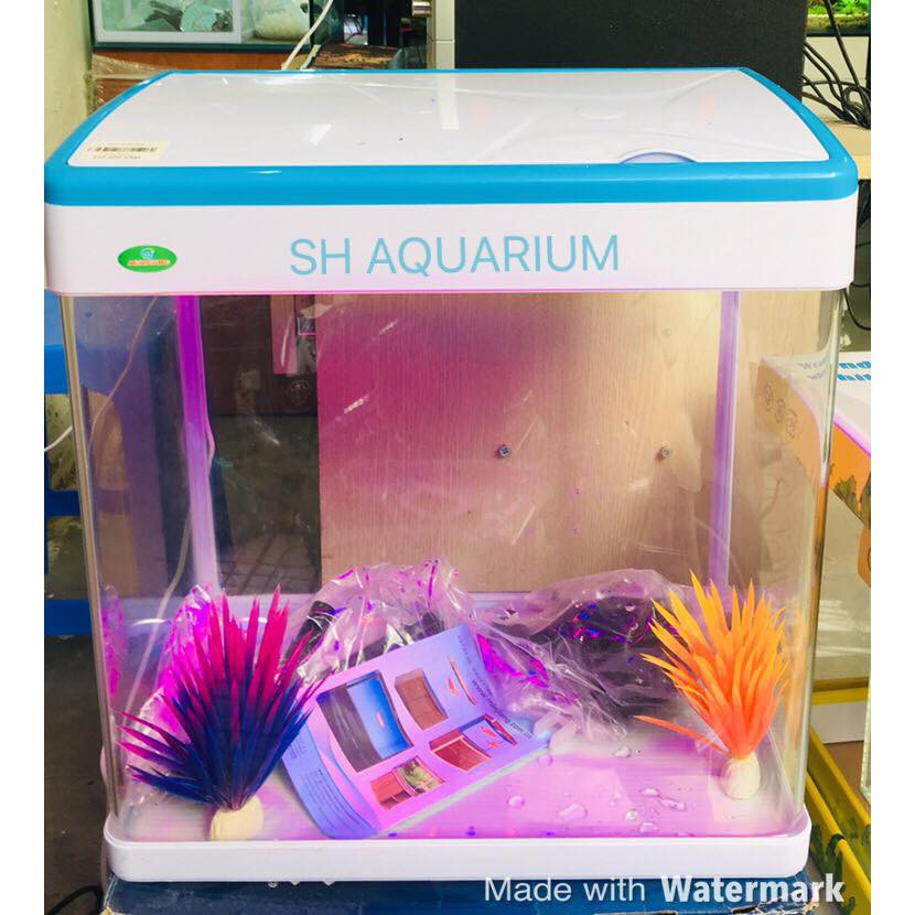 Bộ bể MJ-360 tích hợp bơm, sủi, đèn 3 chế độ | Shopee Việt Nam