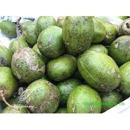 Trái Cóc Lớn Miền Tây | Shopee Việt Nam