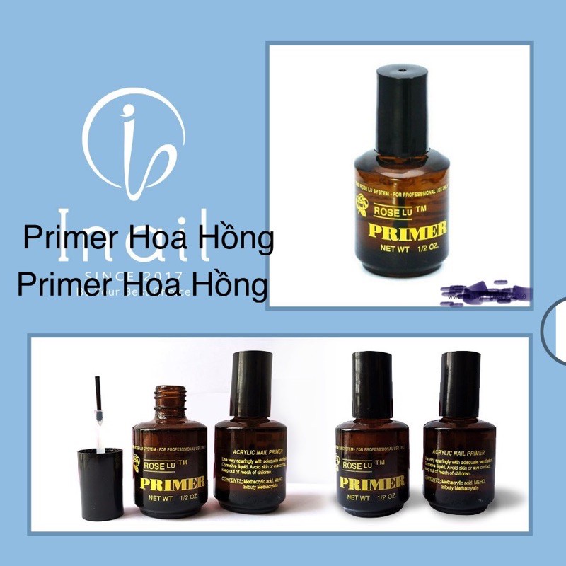 Primer Liên Kết Bột Hàng Chuẩn | Shopee Việt Nam