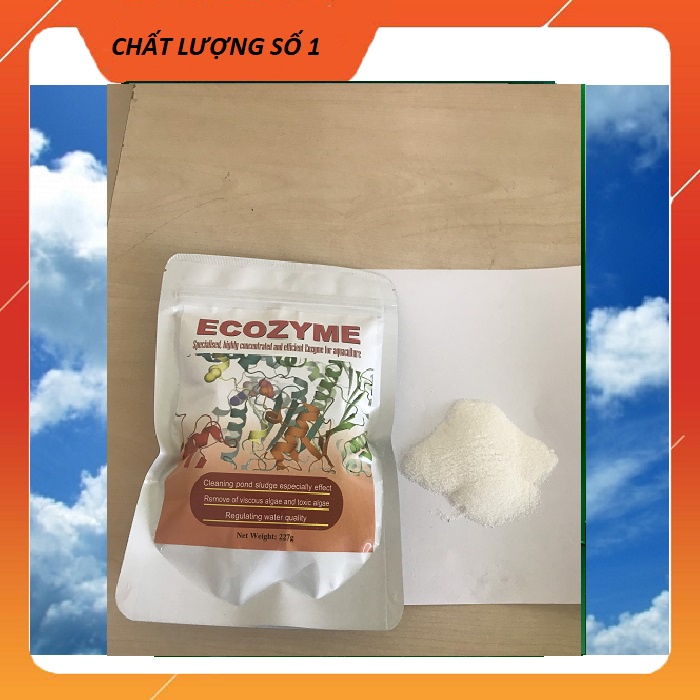 ECOZYME - Enzyme Xử Lý Nước | Shopee Việt Nam