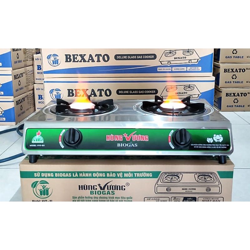 Bếp biogas đôi hồng ngoại mặt inox hàng dày loại 1( dùng cho biogas ...