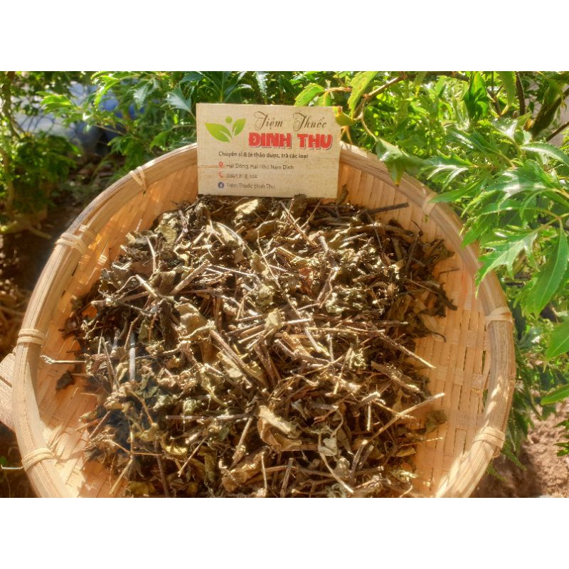 Sâm Tanh Tách - Cây Nổ Khô (1kg) | Shopee Việt Nam