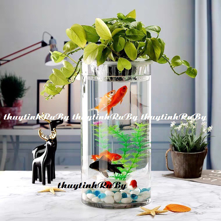 Bình Bông Lọ Hoa Thủy Tinh Trang Trí D20*H40, Bình Cắm Hoa Thủy Tinh Trụ, Lọ Hoa Hình Trụ ...