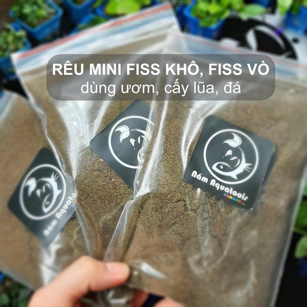 Rêu Khô MiniFiss - Mini Fiss Vò Phơi Khô || Dùng Ươm Trang Trí Cho Bể ...