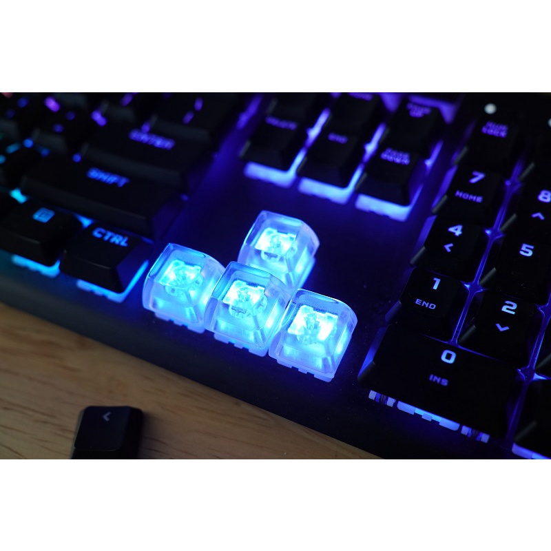 Nút Bàn Phím Nút Keycap Profile SA hàng R1 Lionvn | Shopee Việt Nam