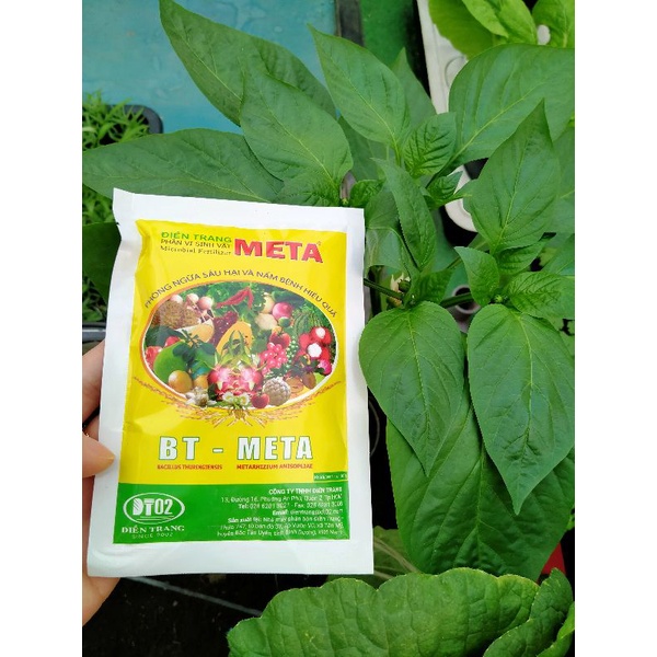 Chế Phẩm Sinh Học META BT 100gr - Phòng Ngừa Sâu Hại Và Nấm Bệnh Hiệu ...