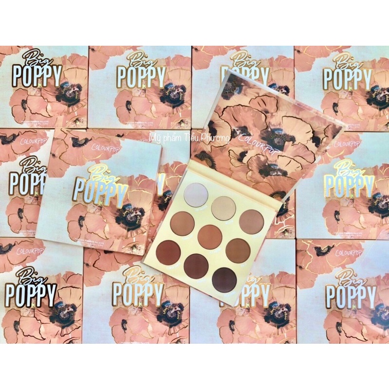 Bảng màu mắt Colourpop Big POPPY [HOẢ TỐC HCM] | Shopee Việt Nam
