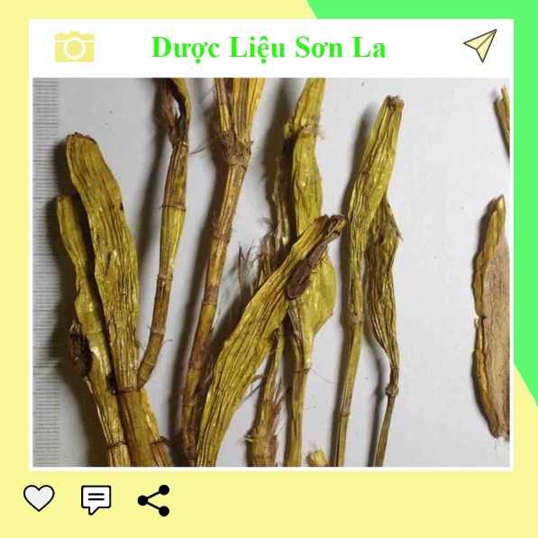 Thạch Hộc vàng khô 1kg | Shopee Việt Nam