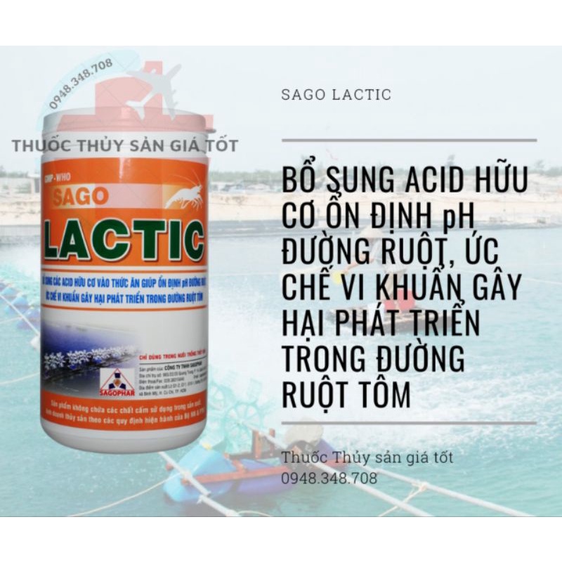 SAGO LACTIC_CUNG CẤP CÁC ACID HỮU CƠ GIÚP ỔN ĐỊNH ĐƯỜNG RUỘT TÔM, ỨC ...