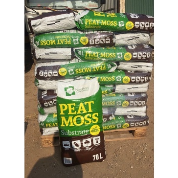 Peat Moss hoặc Peat man (Rêu than bùn) nhập khẩu Latvia; tăng độ xốp ...