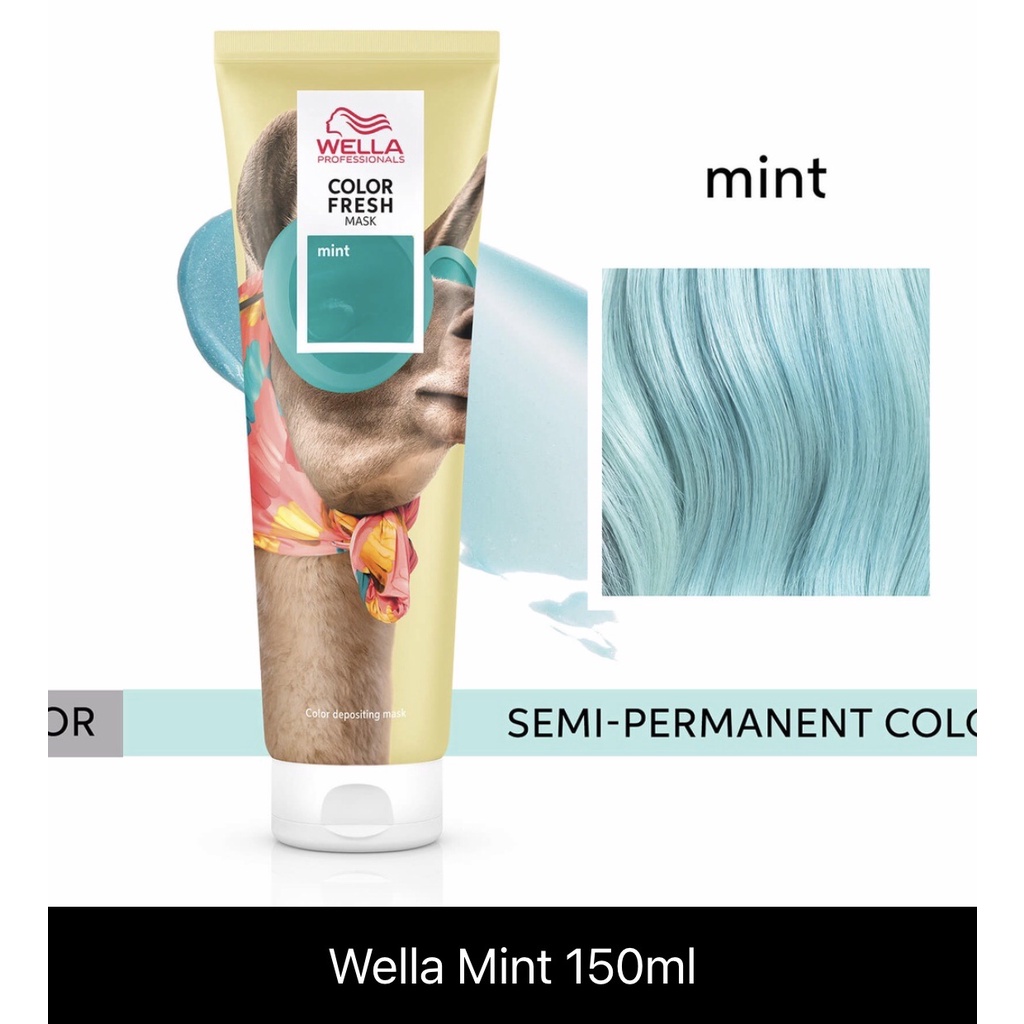 Mặt Nạ Dưỡng Bổ Sung Hạt Màu MINT WELLA Color Fresh Mask 150ml | Shopee ...