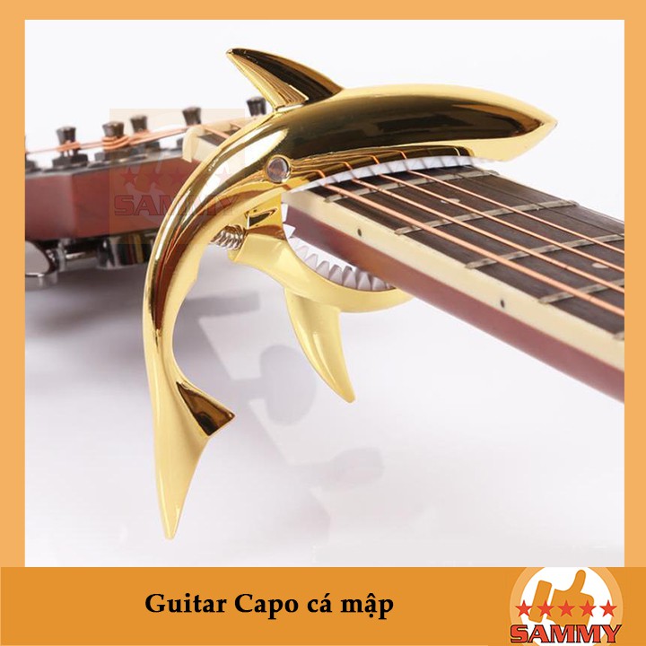 KẸP CAPO CÁ HEO CAO CẤP CAPO GUITAR ACOUSTIC CLASSIC SHARK | Shopee ...