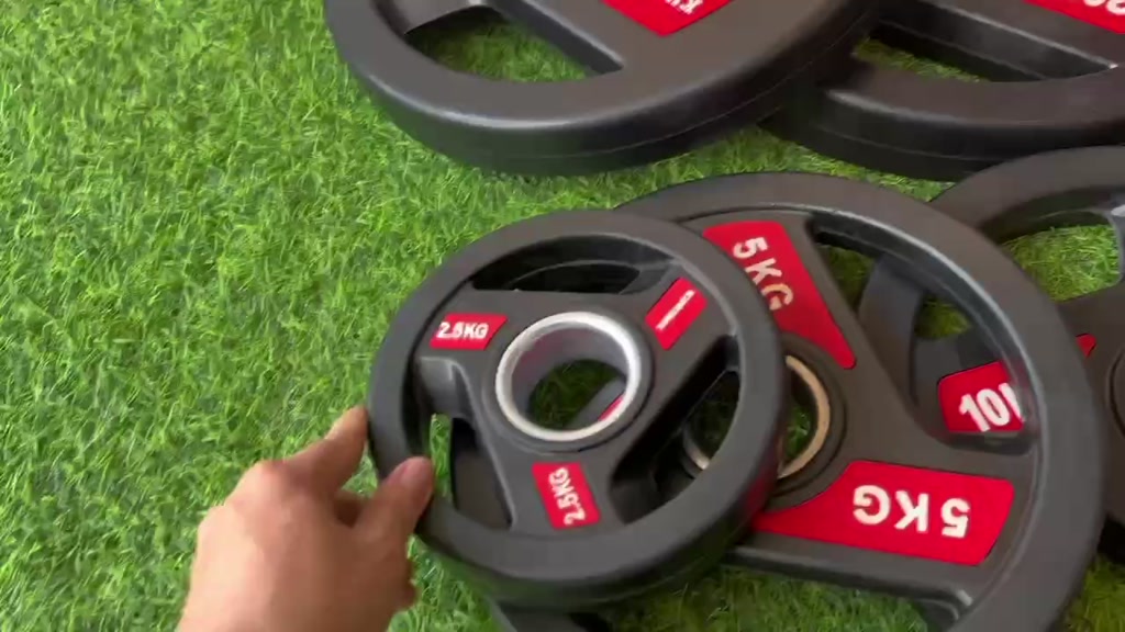 Tạ Đĩa Phi 50mm Gang Bọc Cao Su 2,5kg - 5kg - 10kg/ 1 Bánh - Kingbox | Shopee Việt Nam