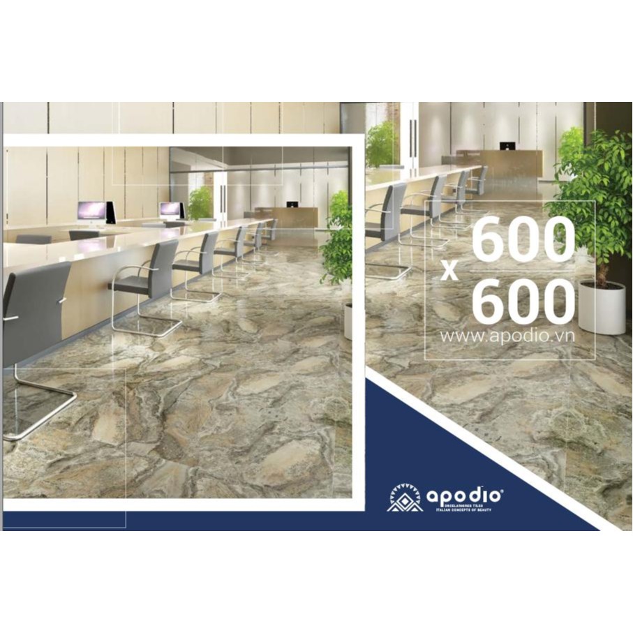 Gạch ốp lát cao cấp APODIO 600 x 600mm | Shopee Việt Nam