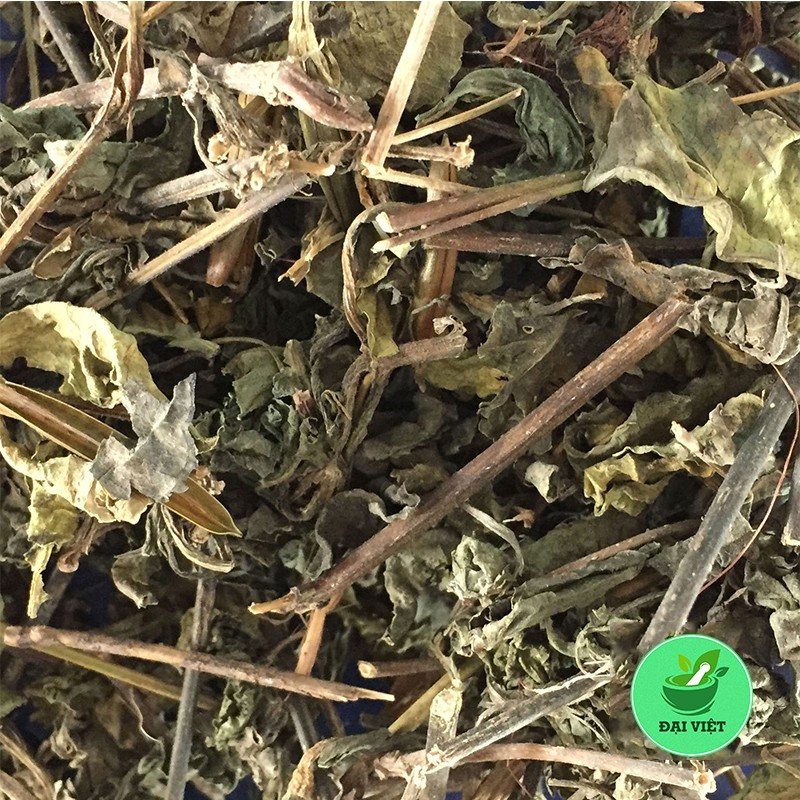 Cây nổ (sâm tanh tách) (1KG) | Shopee Việt Nam