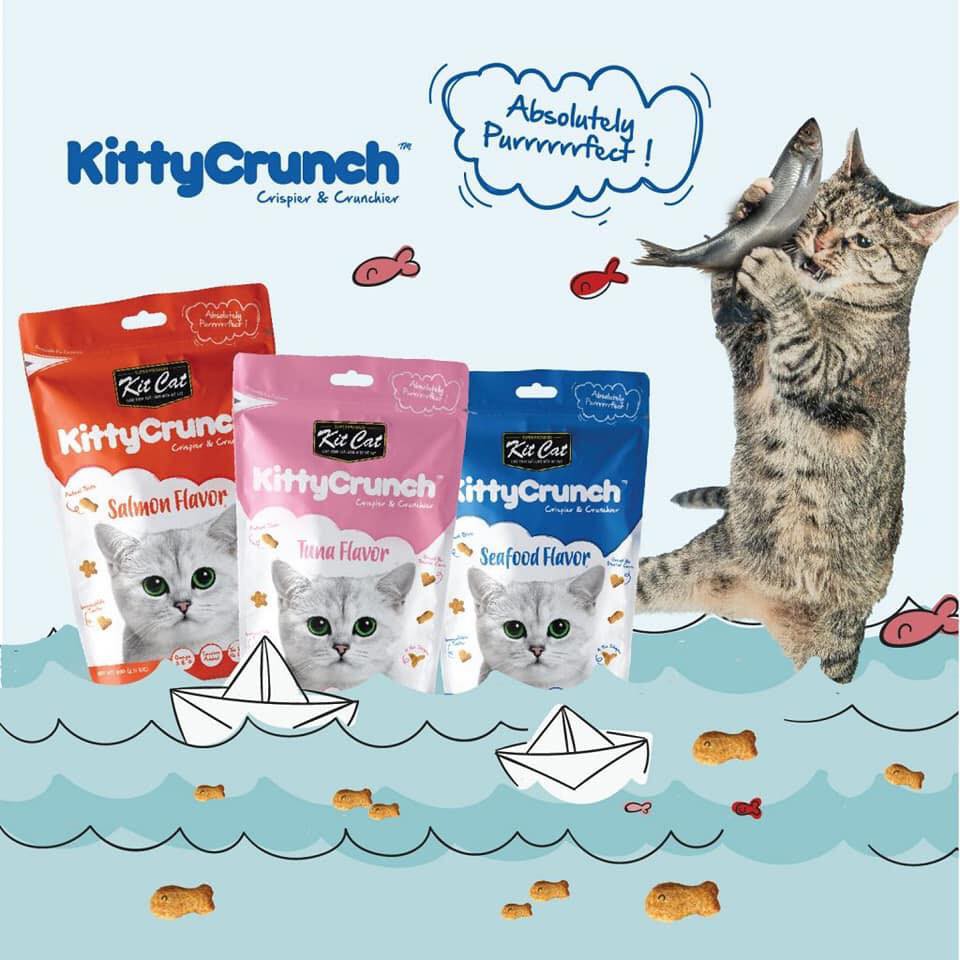 Bánh thưởng KIT CAT KITTY CRUNCH cho mèo 60G | Shopee Việt Nam