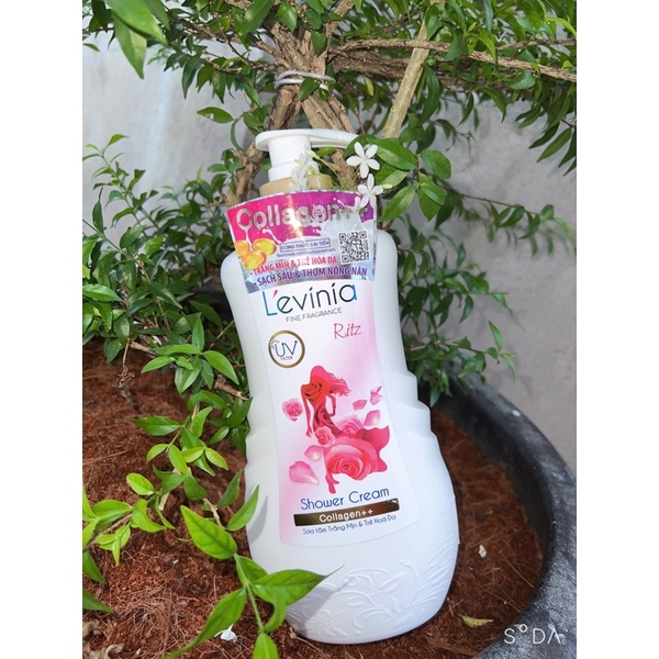 SỮA TẮM LEVINIA TRẮNG DA DƯỠNG ẨM - SỮA TẮM TRẮNG DA CHỐNG NẮNG 650g ...