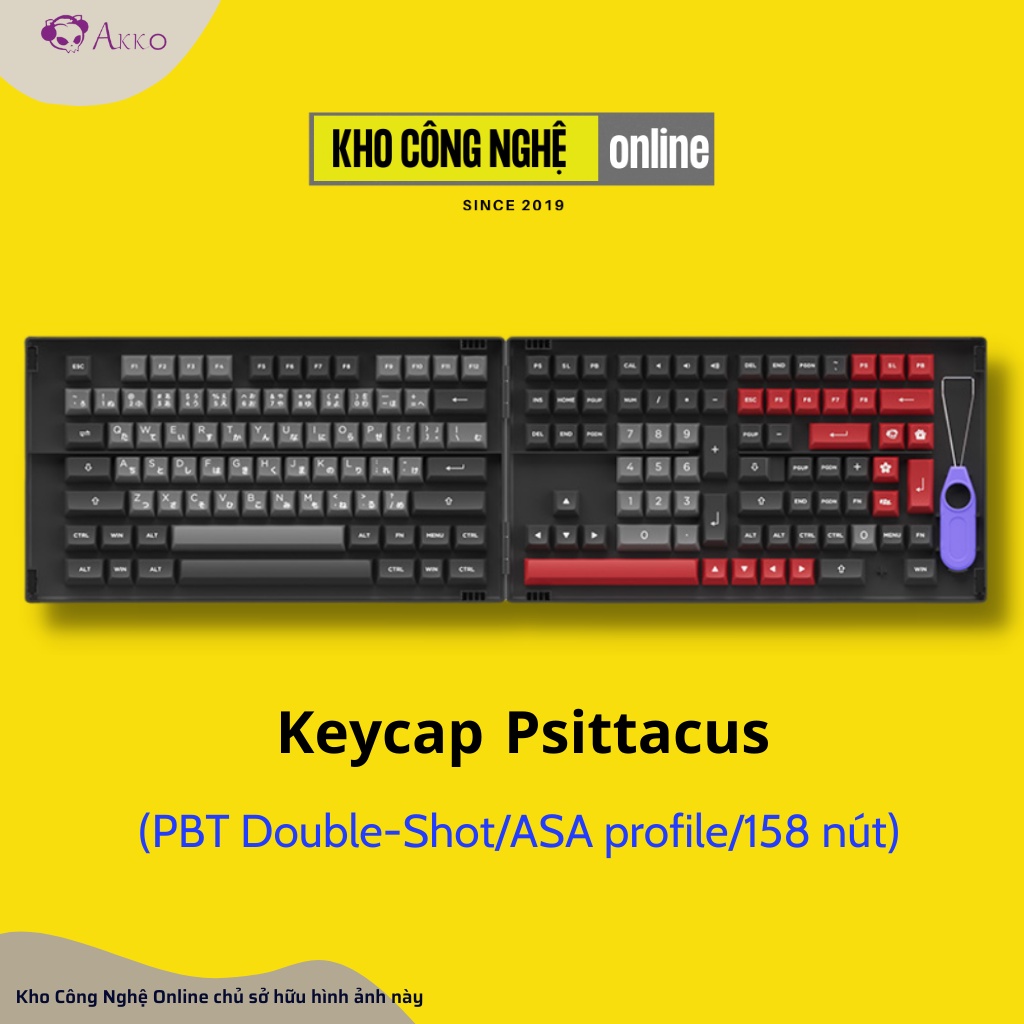AKKO Keycap set – Psittacus (PBT Double-Shot/ASA profile/158 nút ...