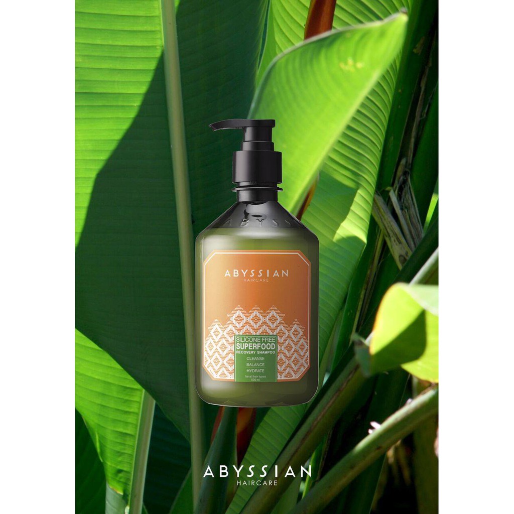 Dầu gội thải độc trị gầu & thanh lọc Abyssian 500 ml | Shopee Việt Nam