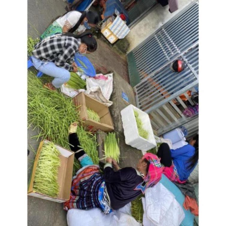 1kg Đòng đòng lúa nếp ngâm rượu | Shopee Việt Nam