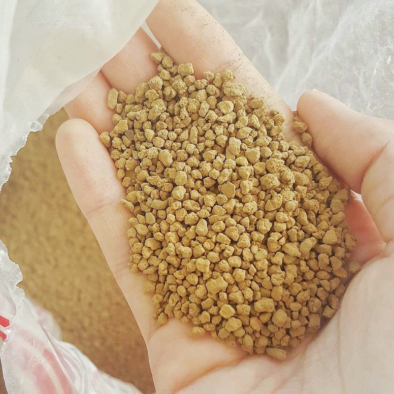 Đá Akadama (1/2 KG đá size 1-5 mm) làm giá thể sen đá, xương rồng, cây ...