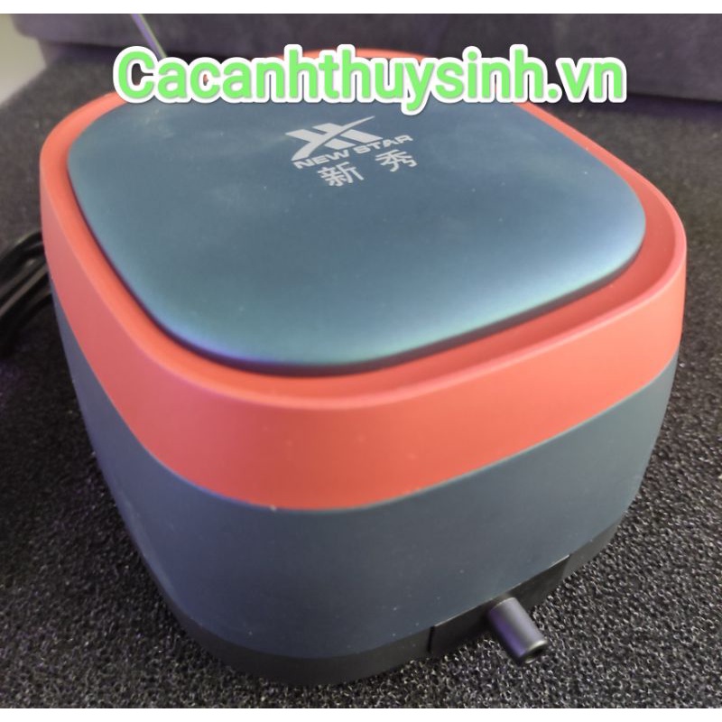 Máy sủi Oxy siêu êm NEW STAR AP-688 ( 1đầu sủi 8li) | Shopee Việt Nam