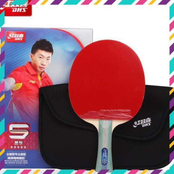 [Cao Cấp] Vợt bóng bàn DHS 5002, vợt bóng bàn chính hãng giá rẻ Khởi ...