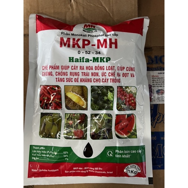 1KG MKP-MH HAIFA(DO THÁI) 0-52-34 RA HOA ĐỒNG LOẠT, CỨNG CUỐNG, CHỐNG ...