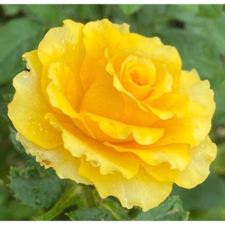 Mixi shop - Giá Tốt, Miễn Phí Vận Chuyển, Đủ Loại | Shopee Việt Nam