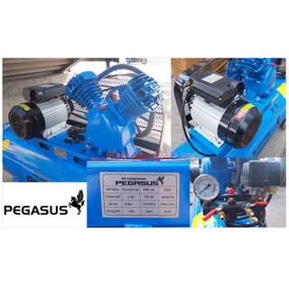 MÁY NÉN KHÍ 1 CẤP PEGASUS TM-V-0.25/8-120L - 3HP, 120L, 8 BAR (220V) | Shopee Việt Nam