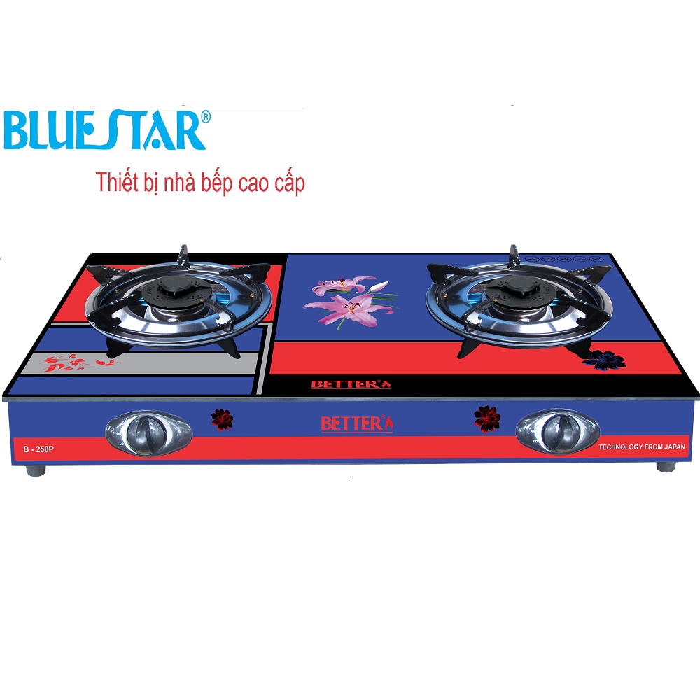 Bếp ga đôi Bluestar B-250P, kính cường lực, đánh lửa magneto, lửa lên xanh, tiết kiệm gas- hàng ...