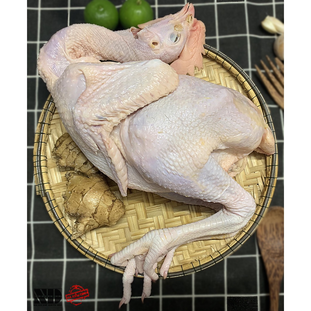 [ Từ 1.1kg -> 1.3kg ] Gà Tam Hoàng nguyên con | Hàng tươi nóng, hàng luôn mới, không chất bảo ...