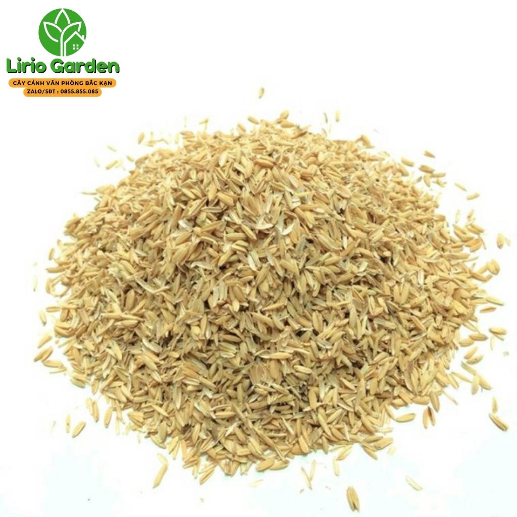 vỏ thóc dùng để trộn đất, trồng rau, hoa kiểng | Shopee Việt Nam