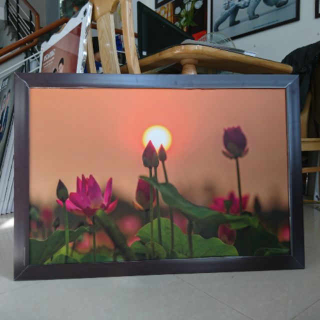 Tranh Canvas hoa Sen 60cmx90cm | Shopee Việt Nam