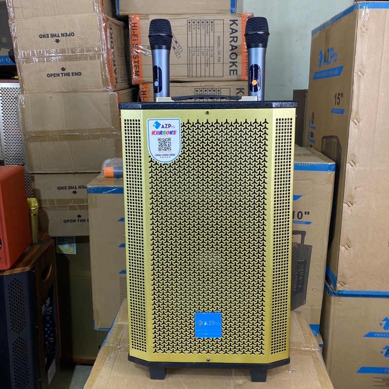 Loa kéo Azpro 1108A - Bass 25 (Có Reverb) - 2 Micro không dây | Shopee ...