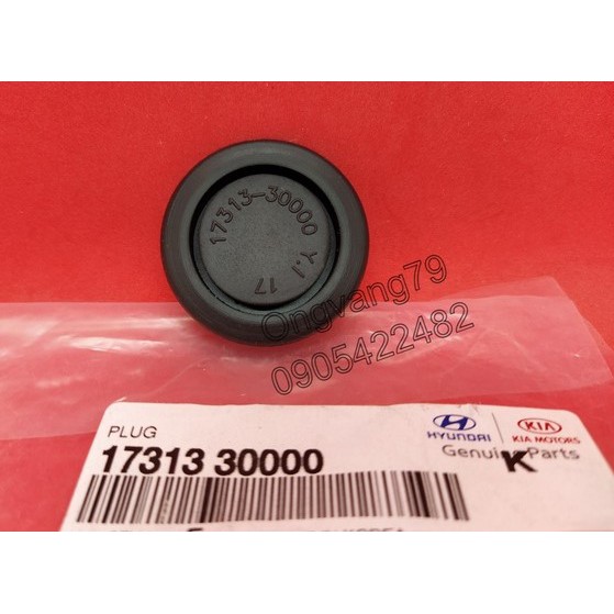 Cao su sườn xe hốc lốp dùng chung xe Hyundai và Kia - giá 1 cái - Ms ...