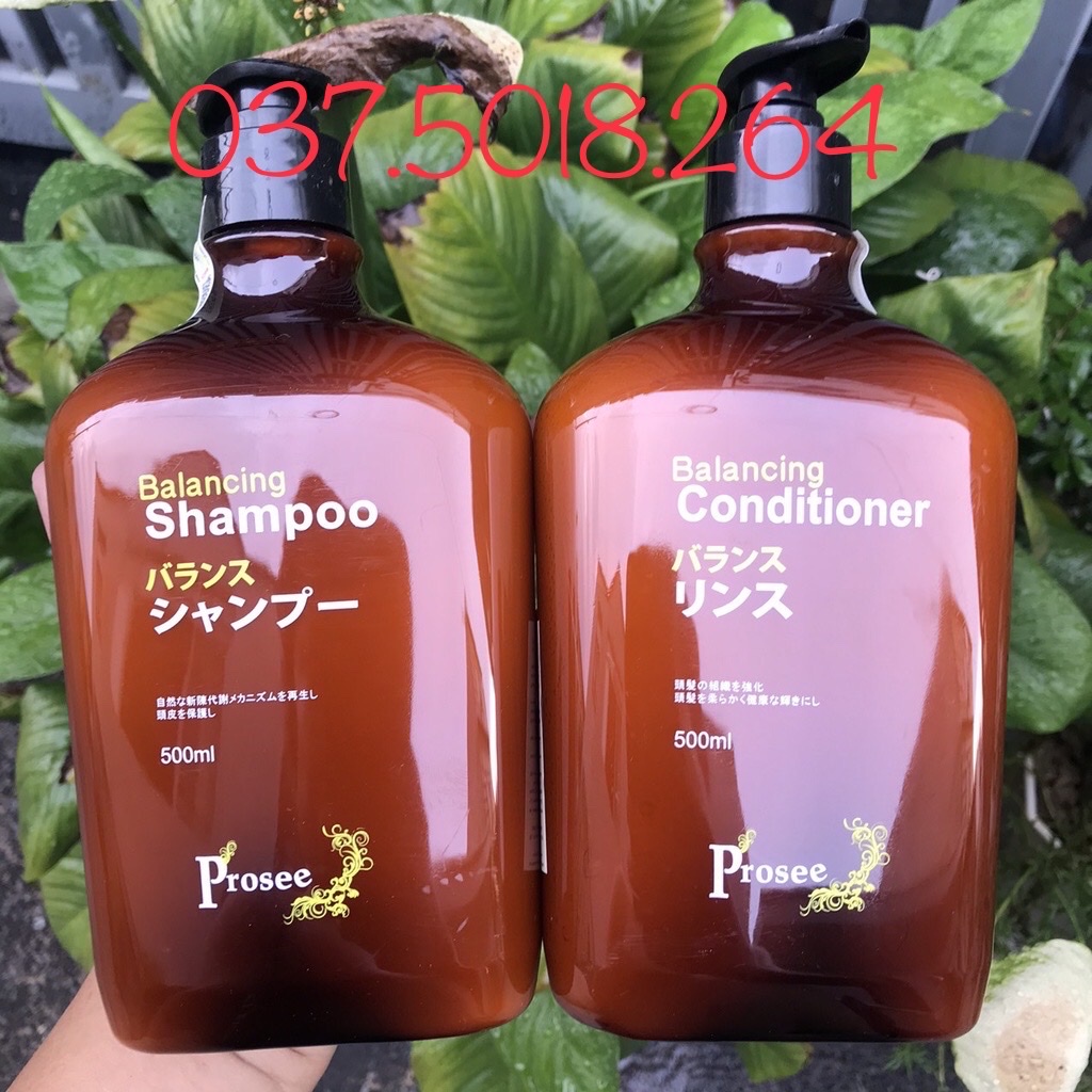 Cặp dầu gội xả chống rụng tóc, hạn chế dầu, gàu Prosee Balancing AS13/AC13 500mlx2 ( New 2022 ...