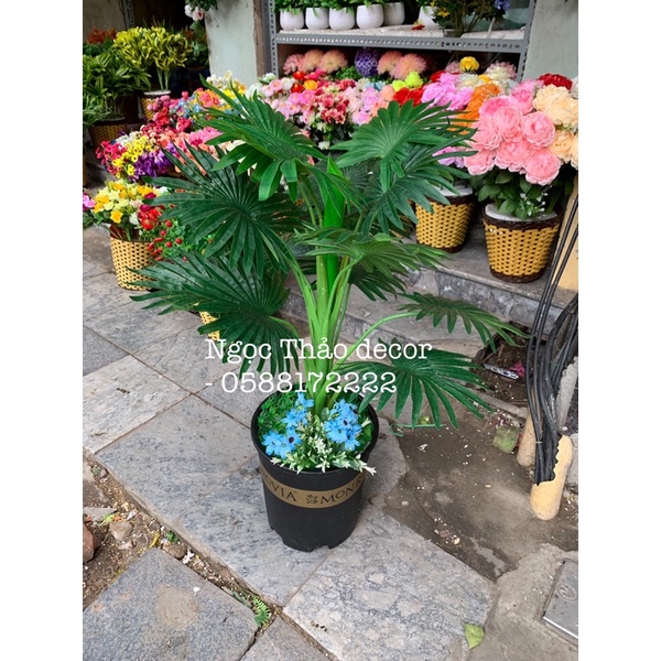 cây cọ giả 90cm | Shopee Việt Nam
