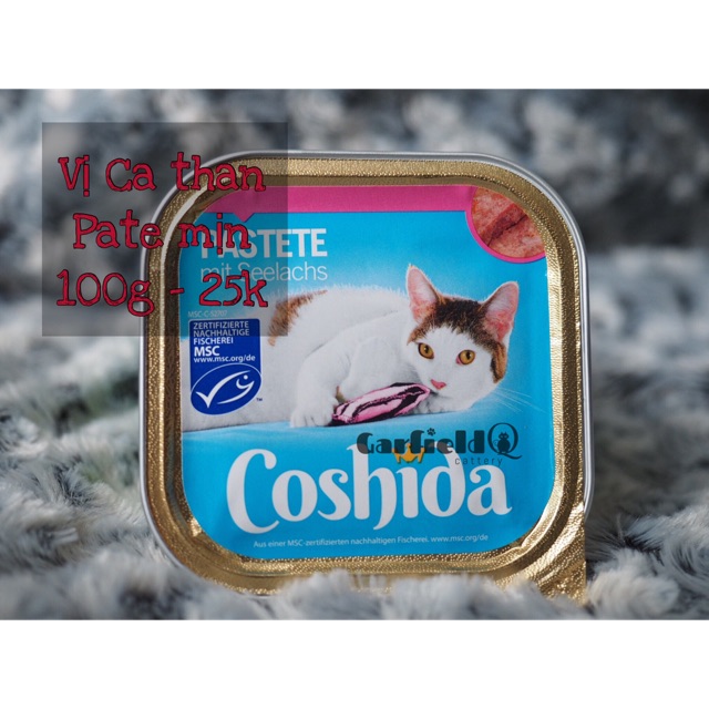 Pate cho mèo Coshida hộp 100g | Shopee Việt Nam