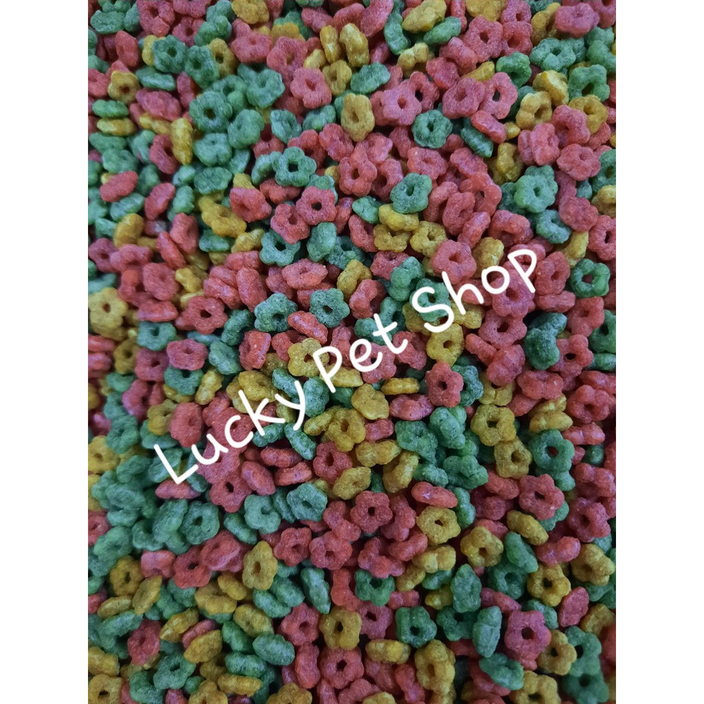 Lọ 50 gr kaytee cho hamster | Shopee Việt Nam