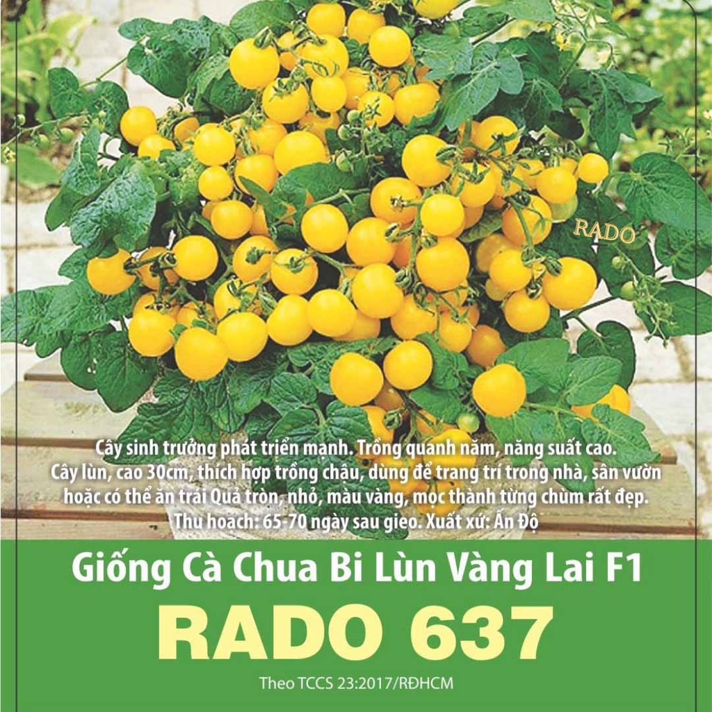 Hạt giống Cà chua bi lùn vàng Rado 637 (0.1g) Rạng Đông | VTNN Cần Thơ | Shopee Việt Nam