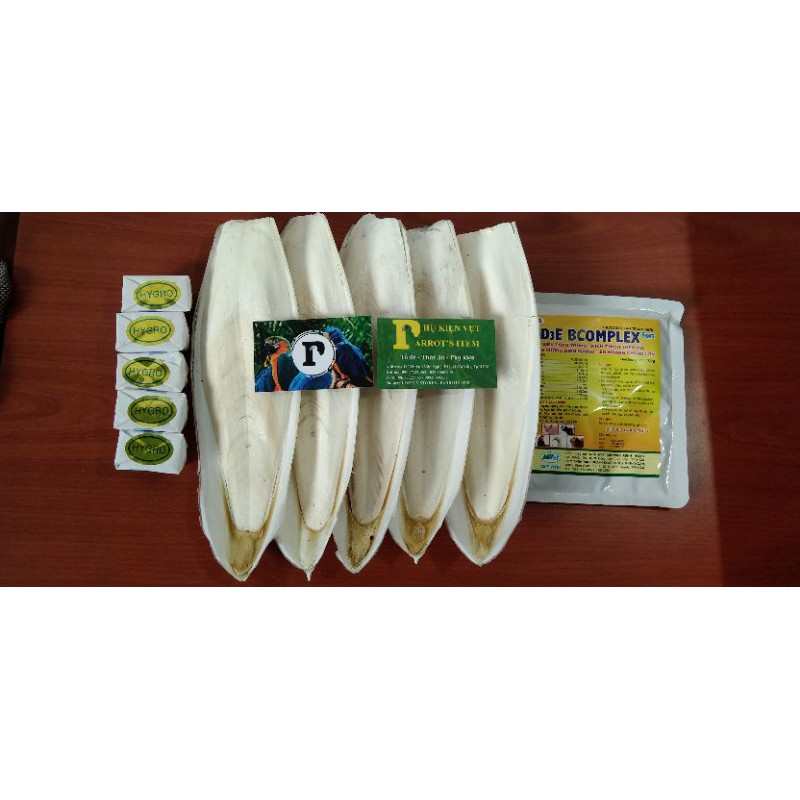 COMBO 5NAN MỰC 18-22CM + 5 KHOÁNG TONIC + 1 GÓI ADB3E 100g | Shopee ...